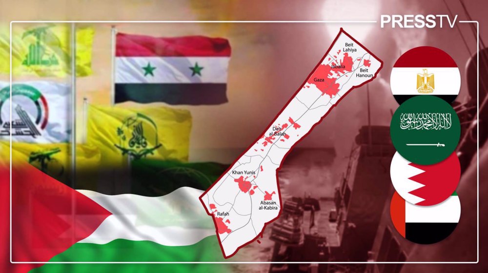 Some Arab countries covertly helping Israeli regime bypass Red Sea ...